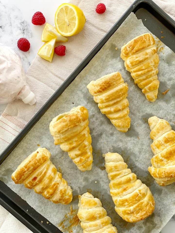Lemon Raspberry Cream Horn - Charisse Yu